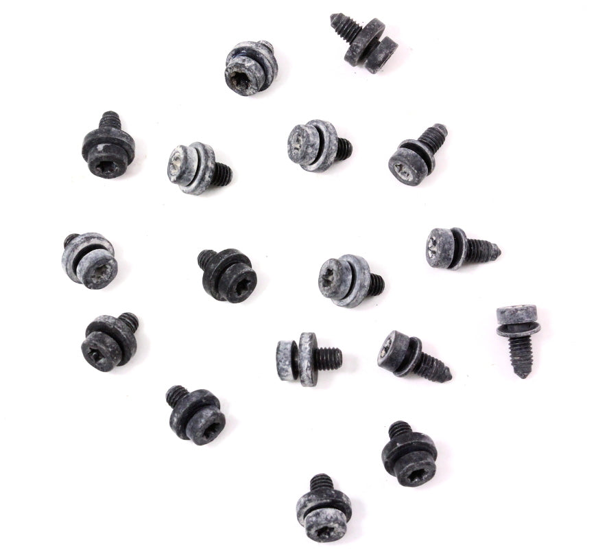 Rear Door Skin Panel Bolts Screws 05-10 VW Jetta Rabbit GTI MK5 ~ Genu ...